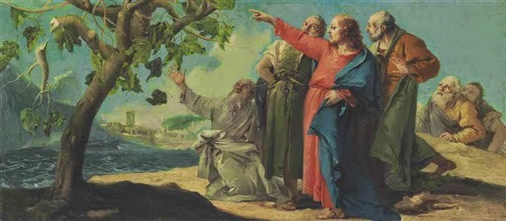Jesus and the Fig Tree – Christian Divinity